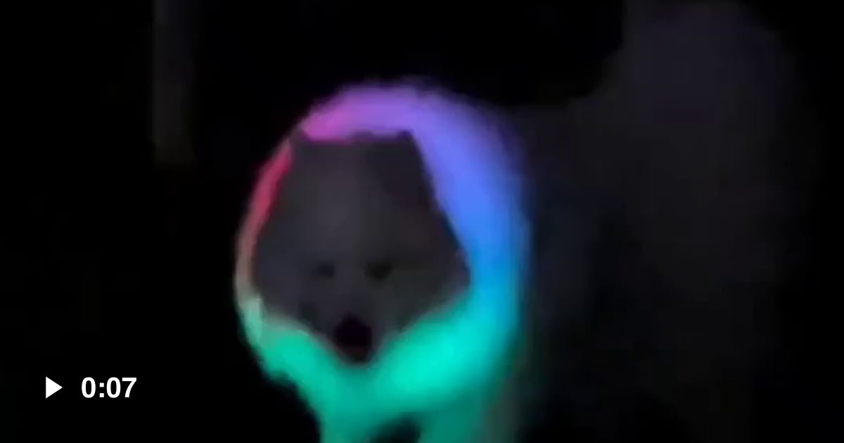 Who let the RGB dog out? - 9GAG