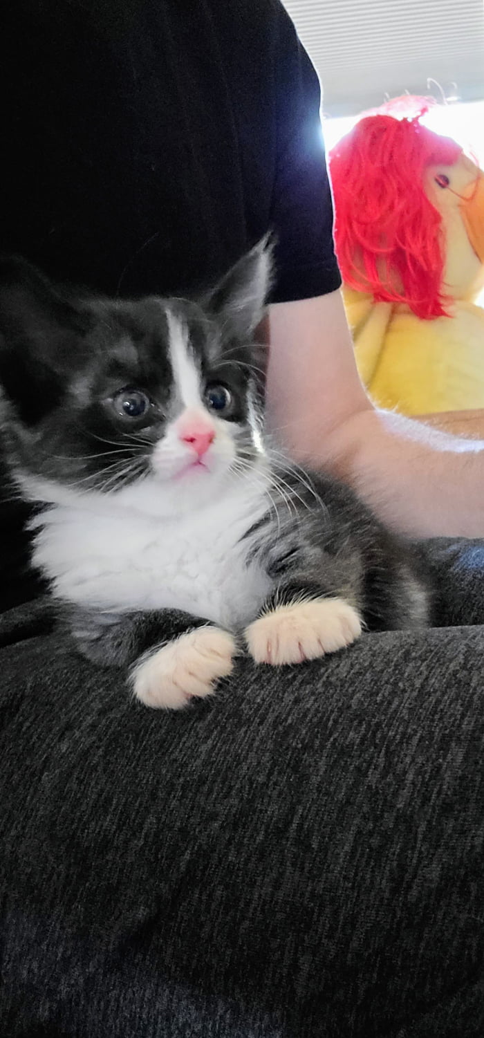 Momo has huge mittens for smol boy - 9GAG