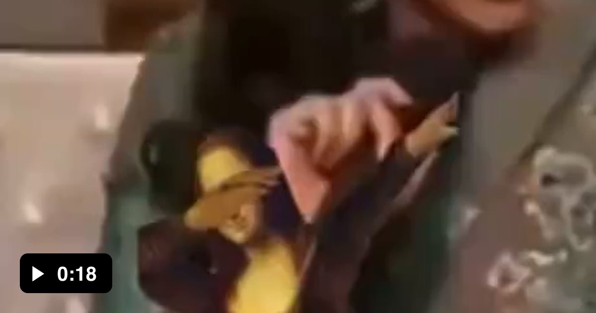 Cap just tell me the song name and fly away. - 9GAG