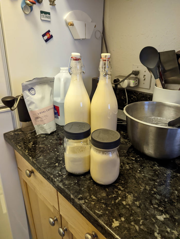 A yearly tradition for me now. I'll see this nog in December. - 9GAG