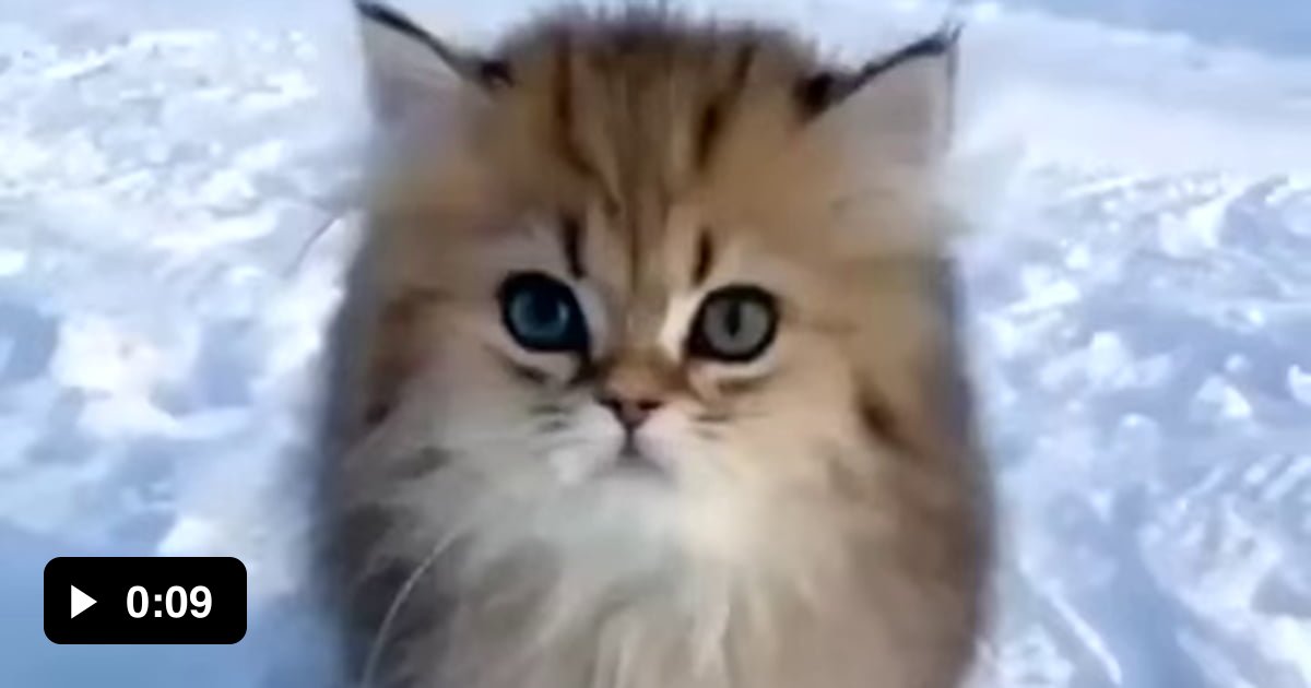 I want one...make it two - 9GAG