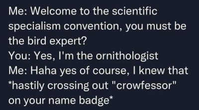 [Insert Clever Title Here] - 9GAG