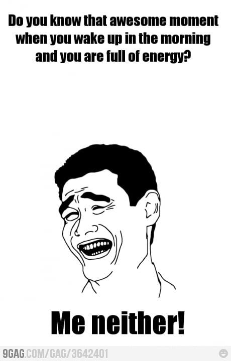 A fine vintage meme well aged in the cellar preserved for future ...