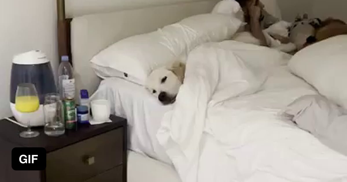 Had a ruff day - 9GAG