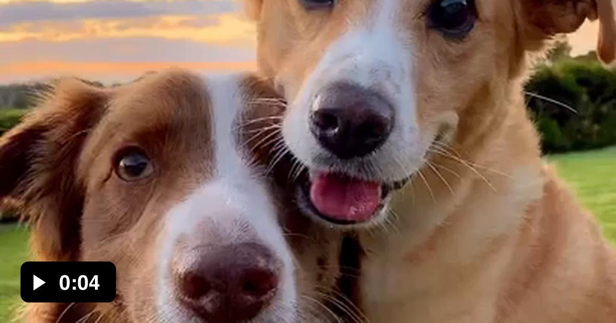 Best buds for life - 9GAG