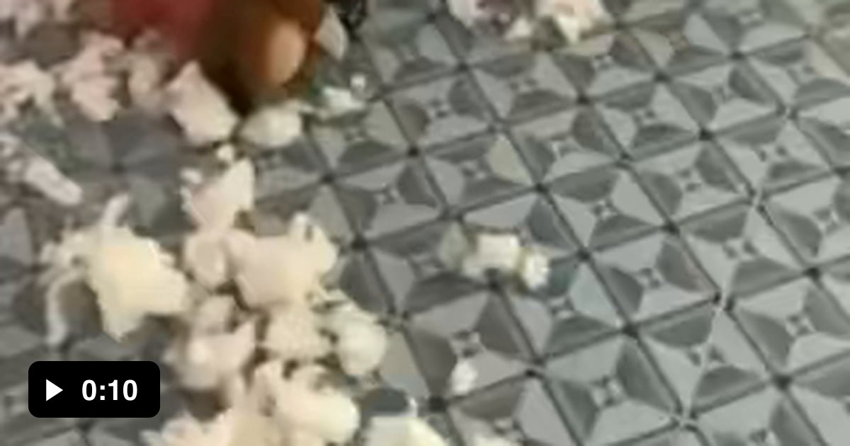 This is cursed - 9GAG