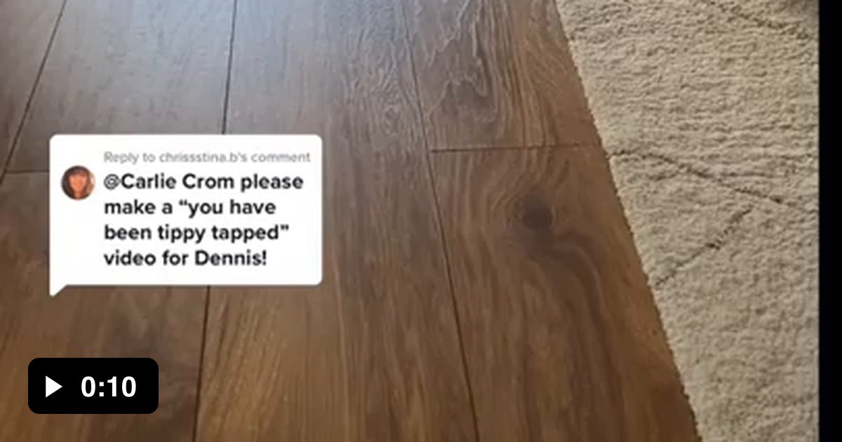 Happy Boston, loves to tippy tap - 9GAG