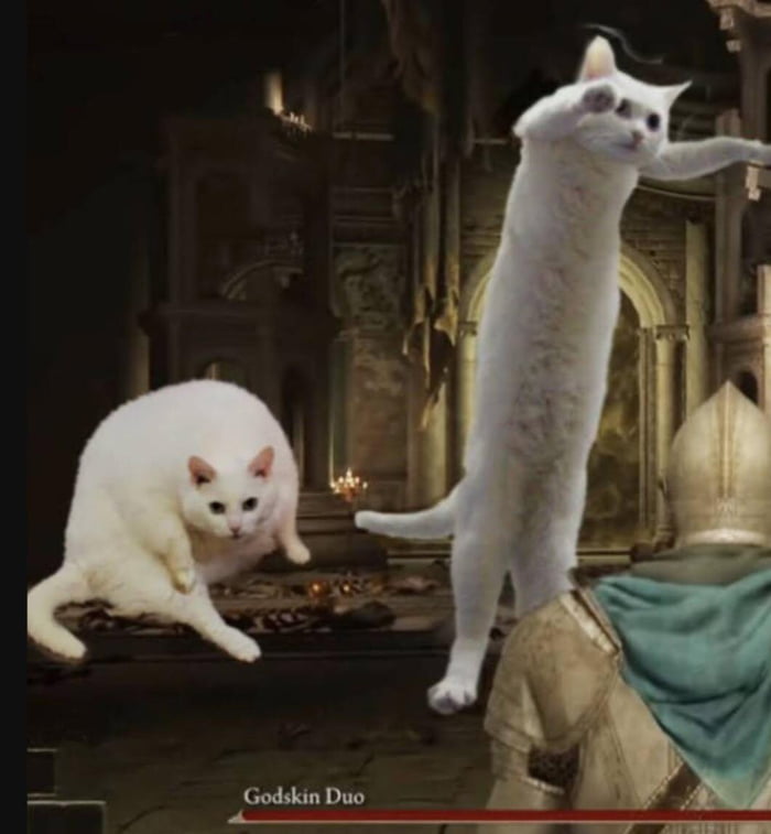 Godskin duo in a nutshell - 9GAG