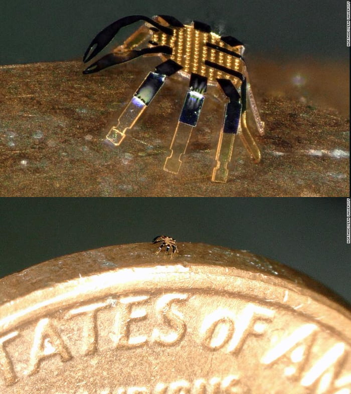 Northwestern engineers invent the world's smallest remote-controlled ...