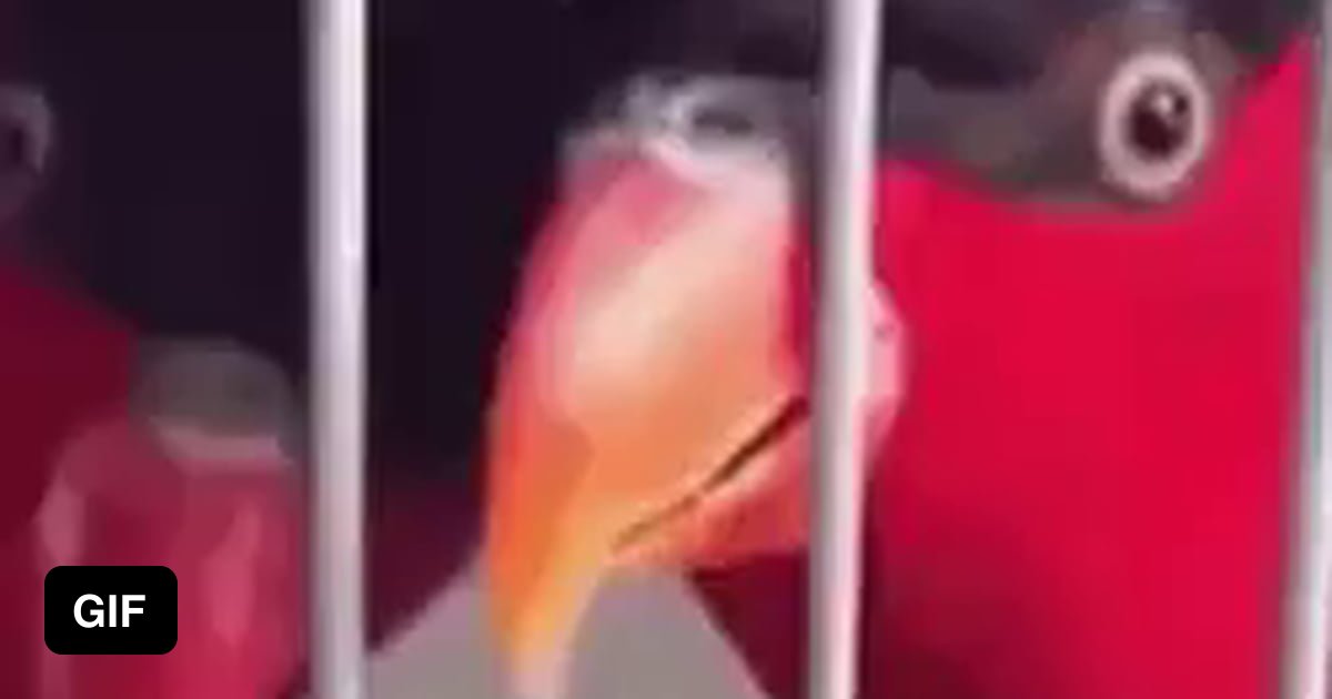 It's like a claw... - 9GAG