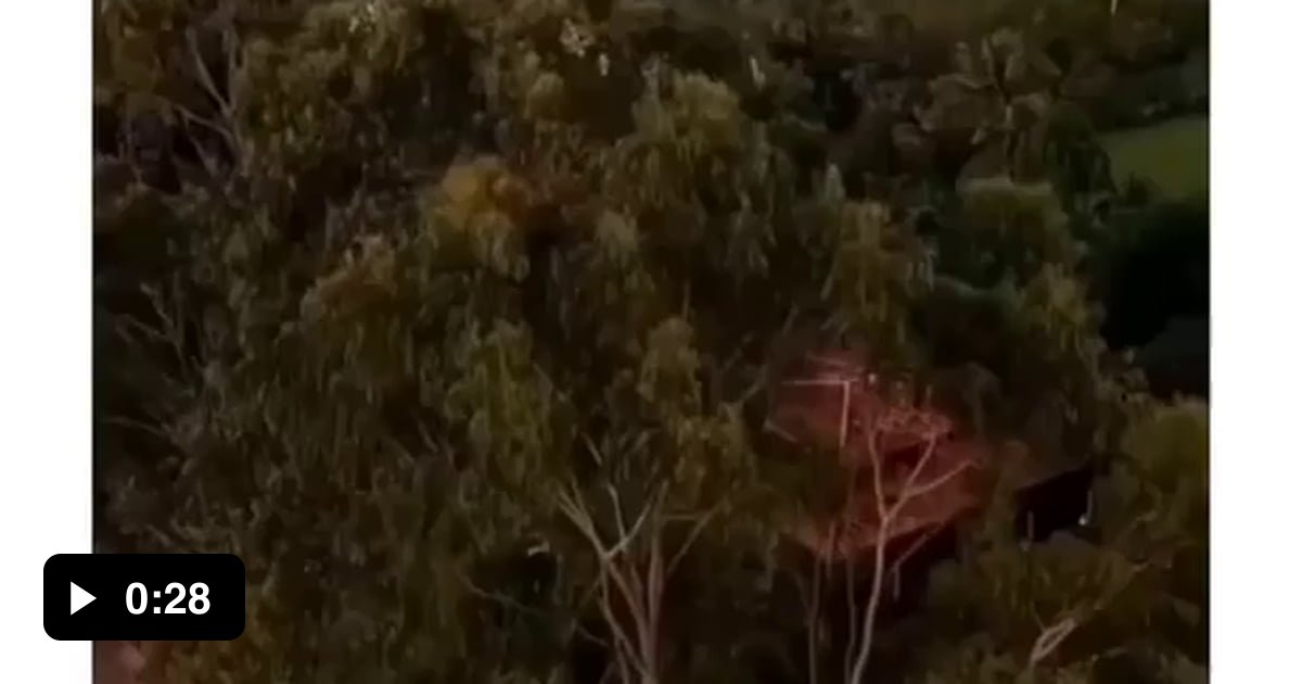 Working at 32 meters high and look who went to supervise the service ...