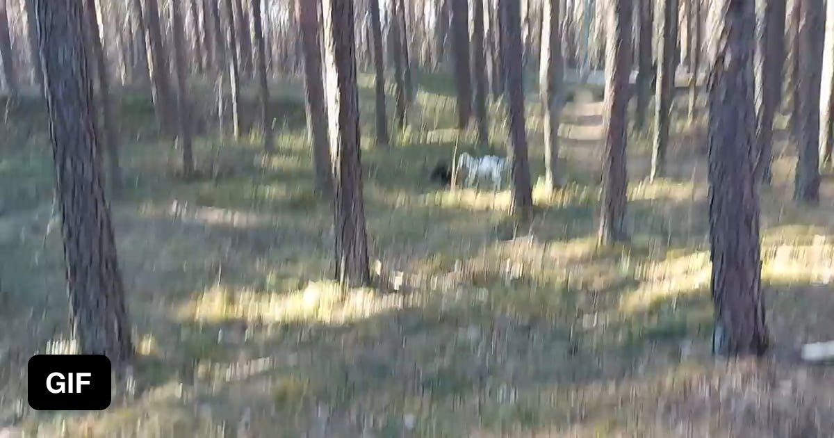 Wait do we go left or right? ok ok right it is - 9GAG