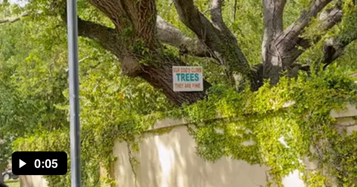 They had to put up a sign for their tree climbing dogs - 9GAG