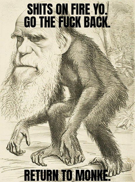 We need more of These. Return to monke. - 9GAG