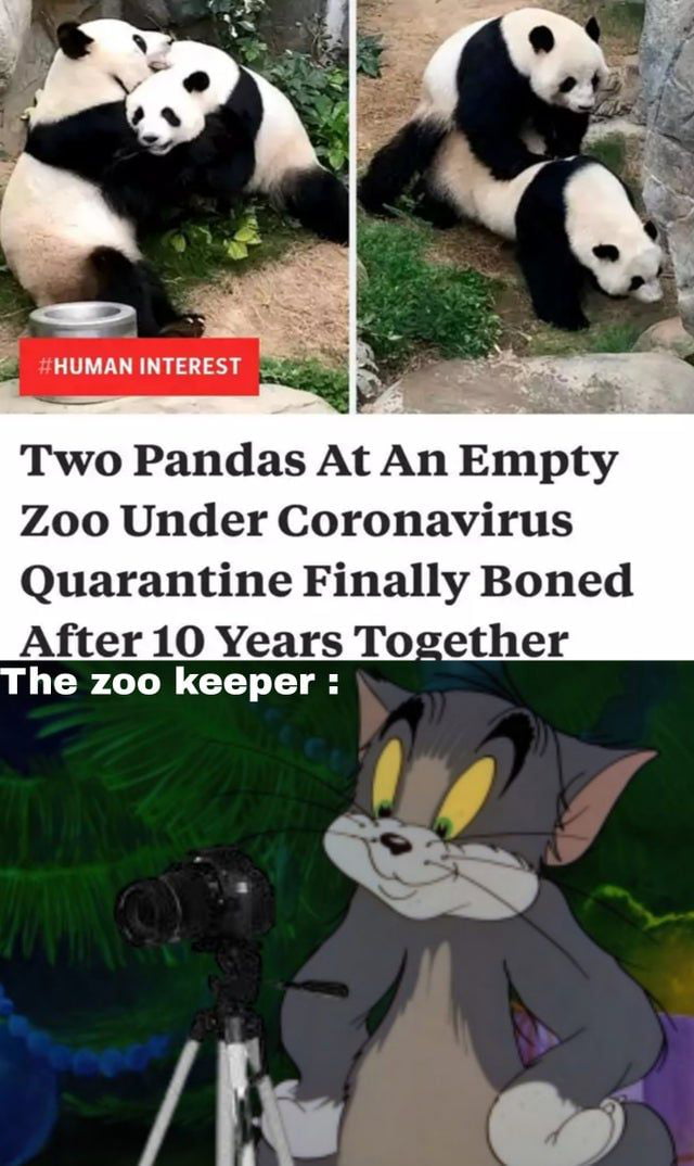 Well I mean it's an empty zoo so... - 9GAG