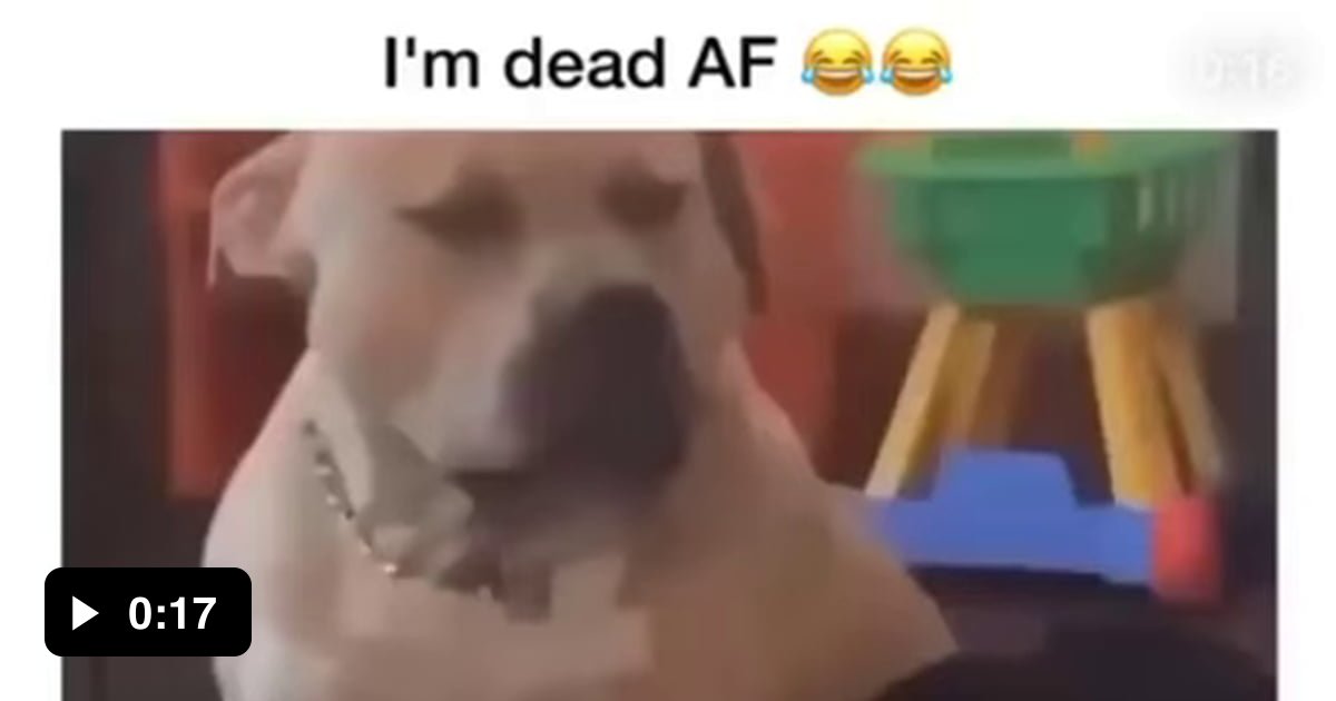 Damn boi... DAMN BOI! - 9GAG