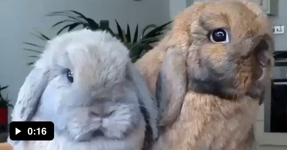 Thats something different - 9GAG