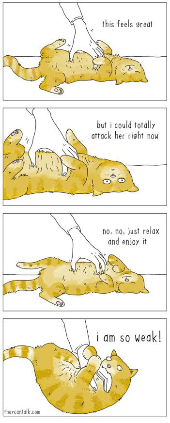 Whaaah so adorable yet deadly - 9GAG