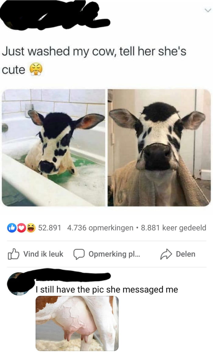 Send udder pics! - 9GAG
