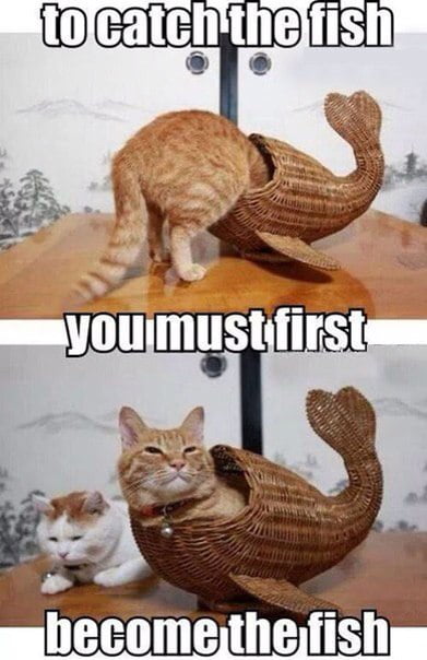 Adaptability in these days is a must. - 9GAG