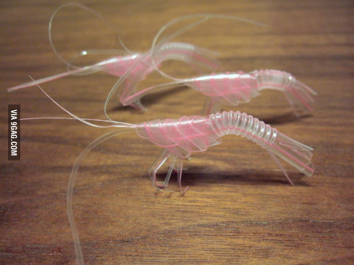Shrimps made from straws - 9GAG