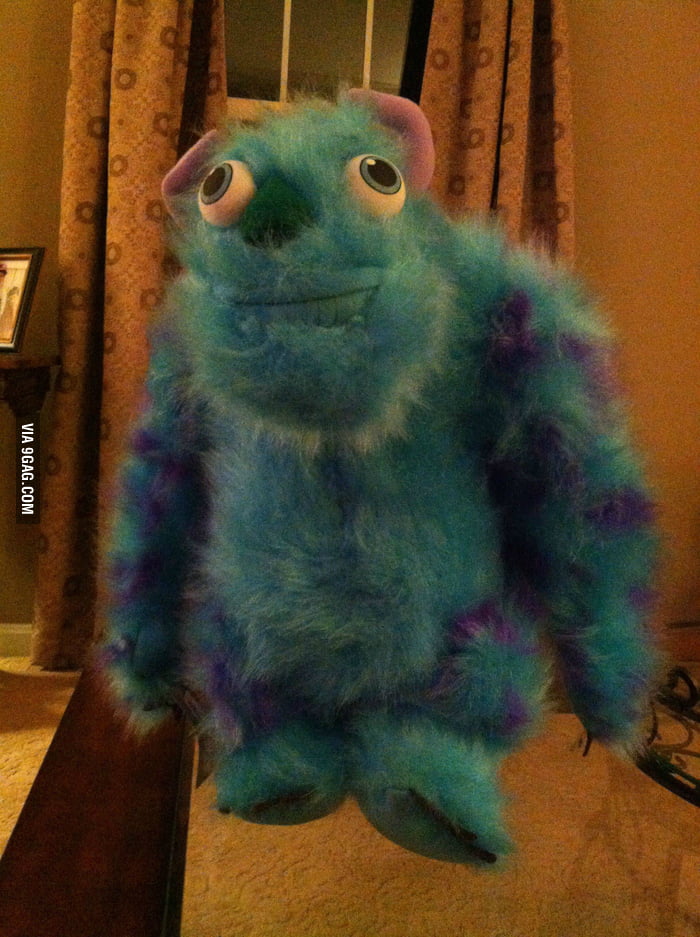 She won a brain-dead Sully at the fair. - 9GAG