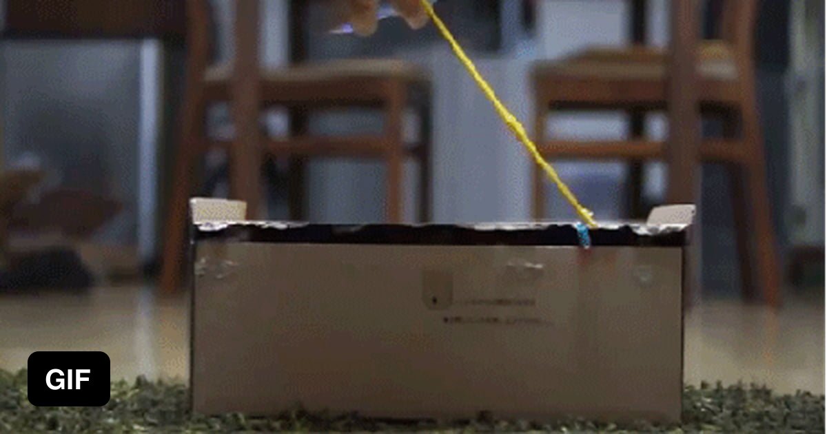 How To Lure A Cat Out Of Hiding 9GAG how-to-lure-a-cat-out-of-hiding-9gag
