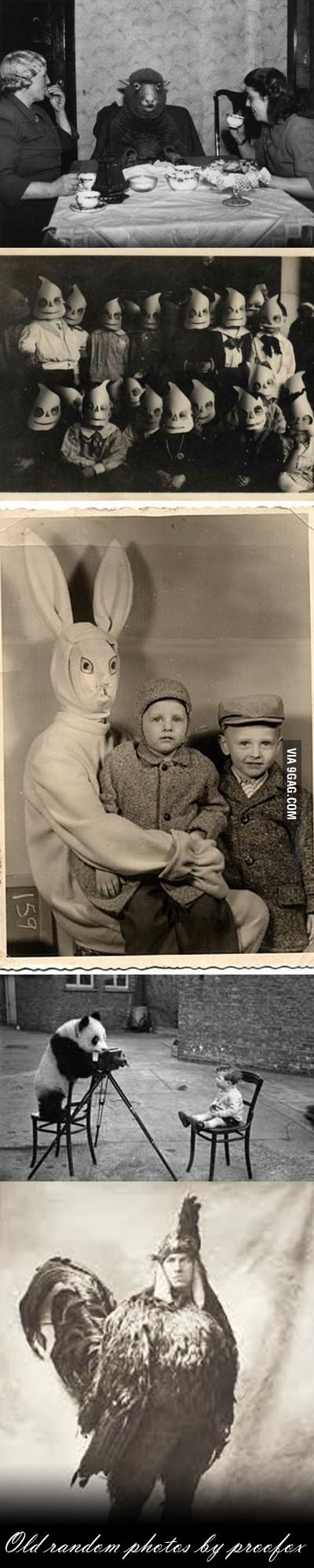 Just random old photos - 9GAG