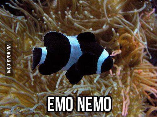 Emo Nemo - 9GAG