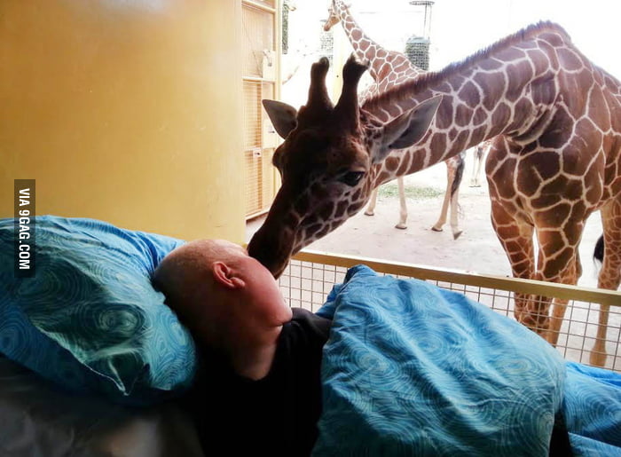 Zoo volunteer with terminal cancer gets to say goodbye to the animals ...