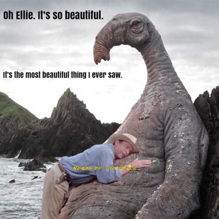 How real star wars fans think about episode 8 vs how normal people see it.. - 9GAG