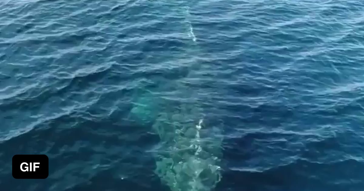 Hey there, big fella! - 9GAG