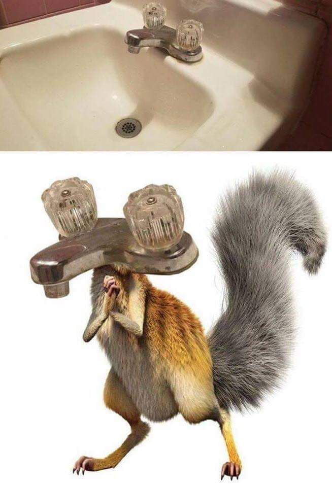 Just find out Scrat's head IRL - 9GAG
