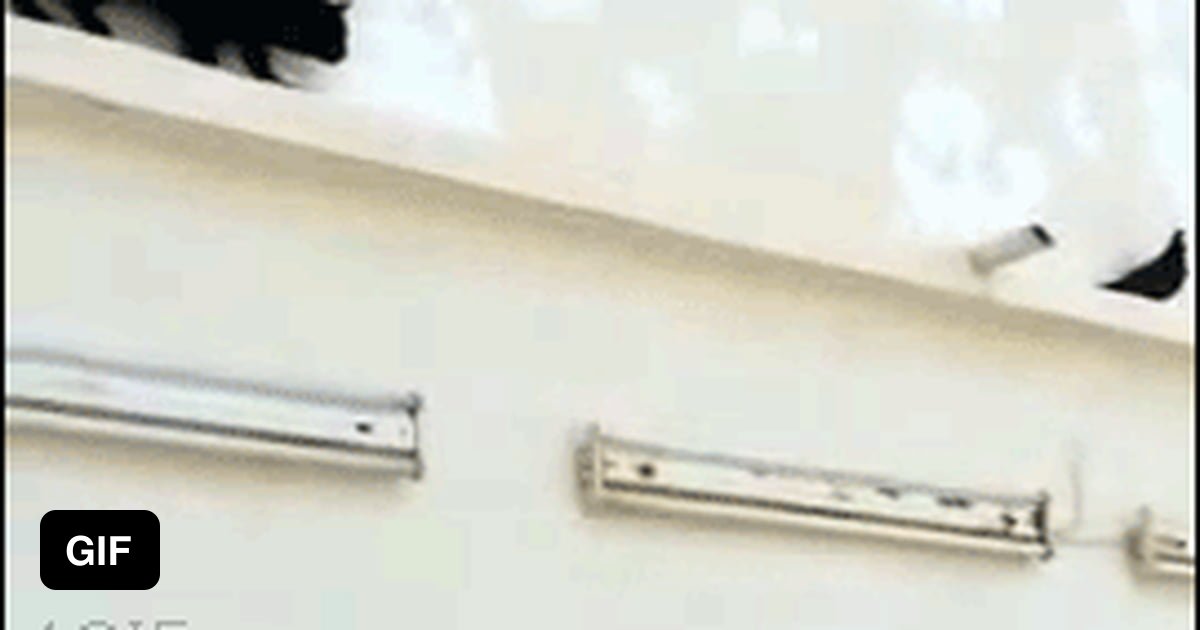 FU bird, fuu... - 9GAG