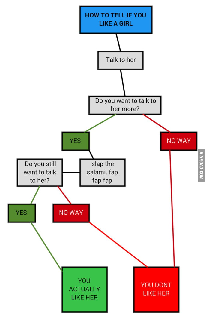 How to tell if you like a girl flow chart. - 9GAG