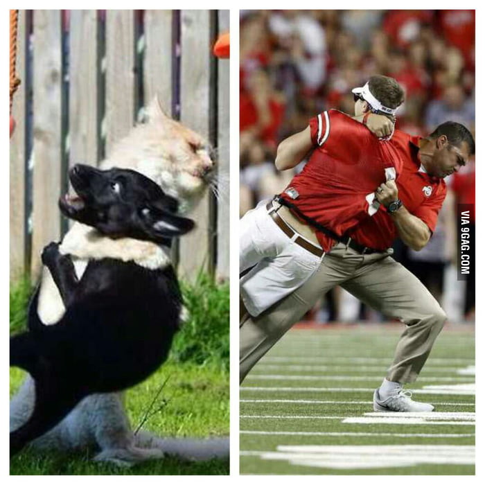 The resemblance in this picture is too dam high - 9GAG