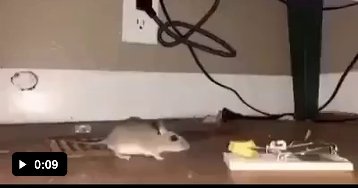 @alan_gopher. Per your request m'lord - 9GAG