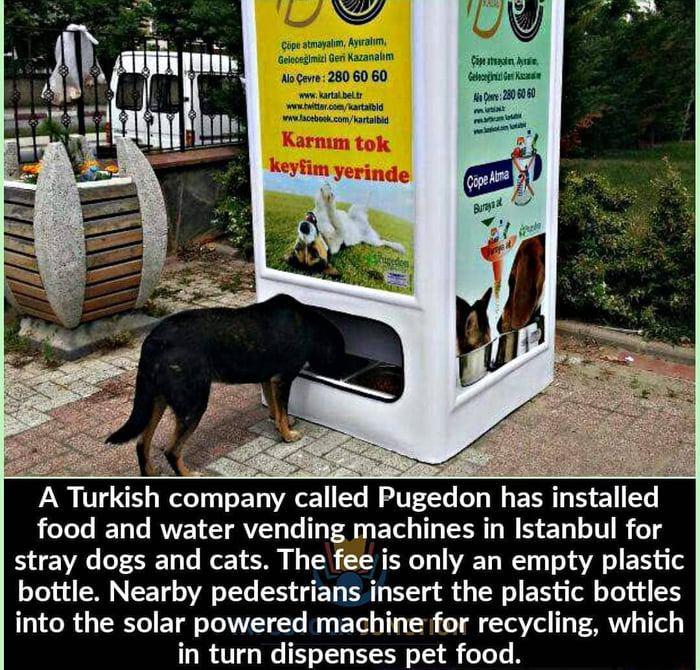 Vending machine for stray animals - 9GAG