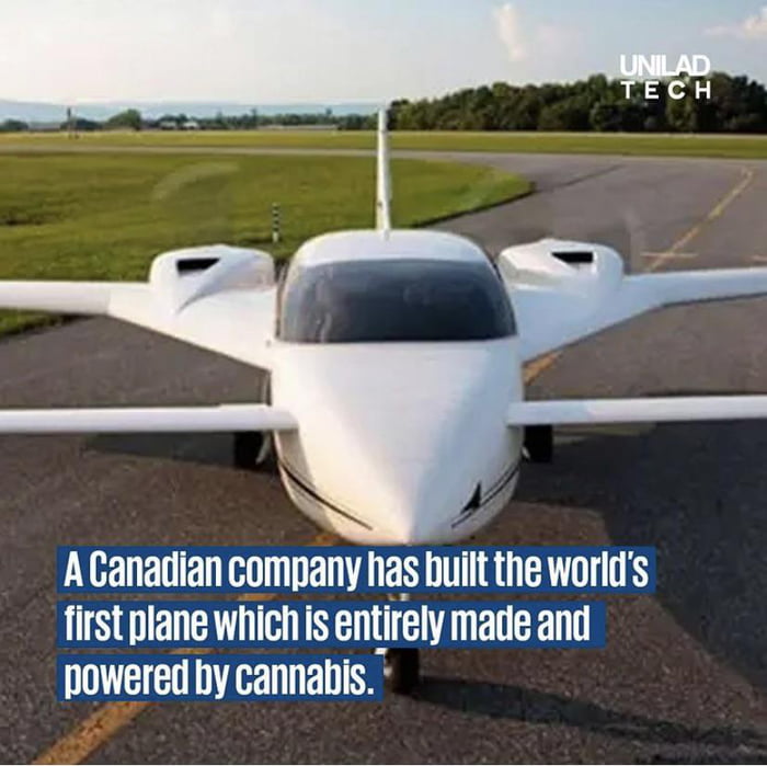 The world’s first plane made from and powered by HEMP can hold one ...
