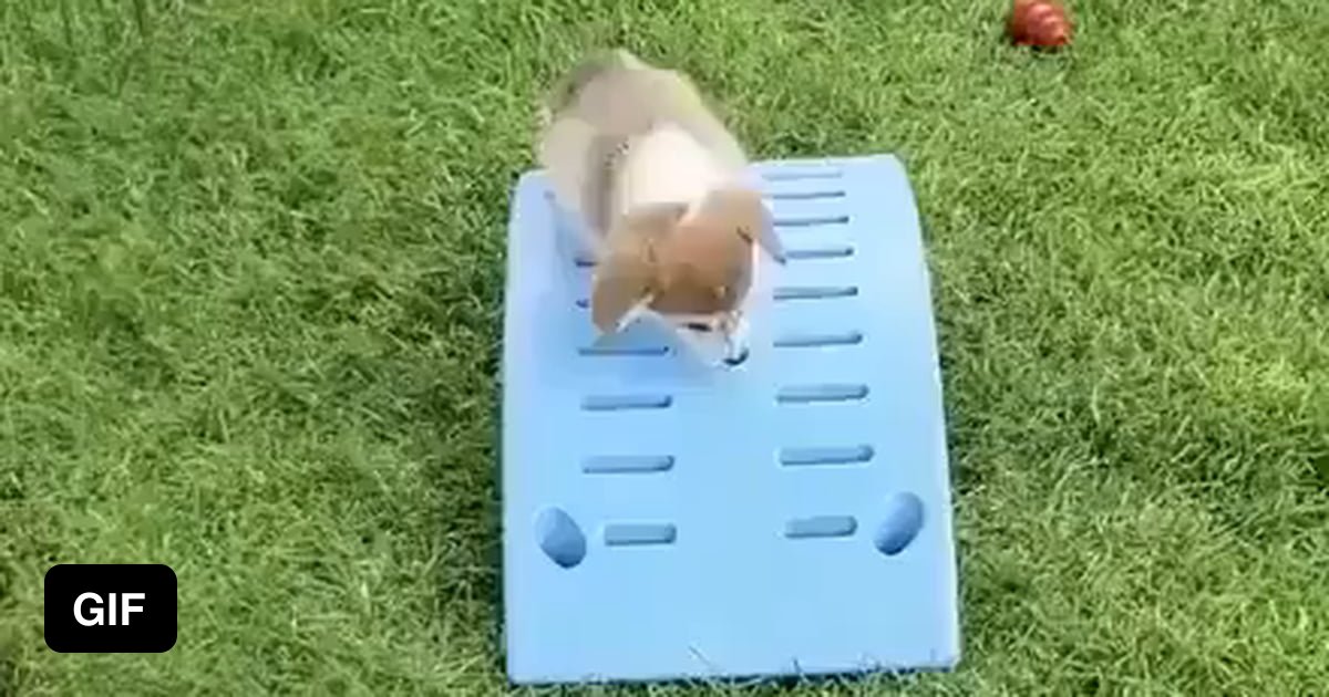 Sliding into Monday - 9GAG