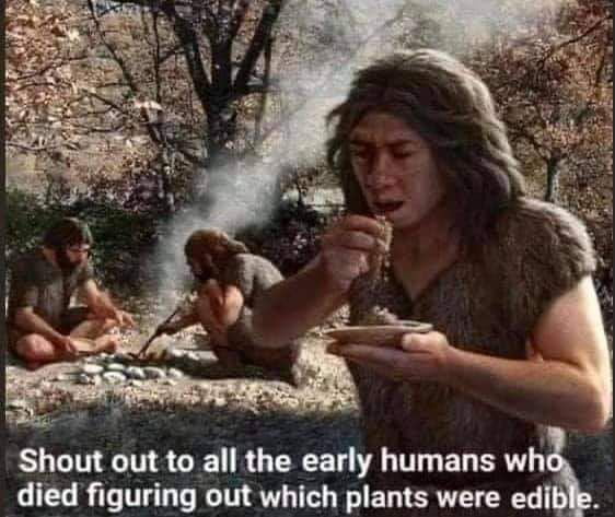 *Happy unga bunga - 9GAG