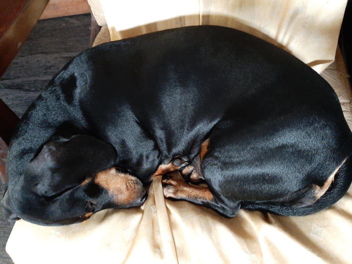 That's one cuddly baby!! - 9GAG