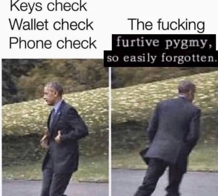Everyone forgets the furtive pygmy - 9GAG