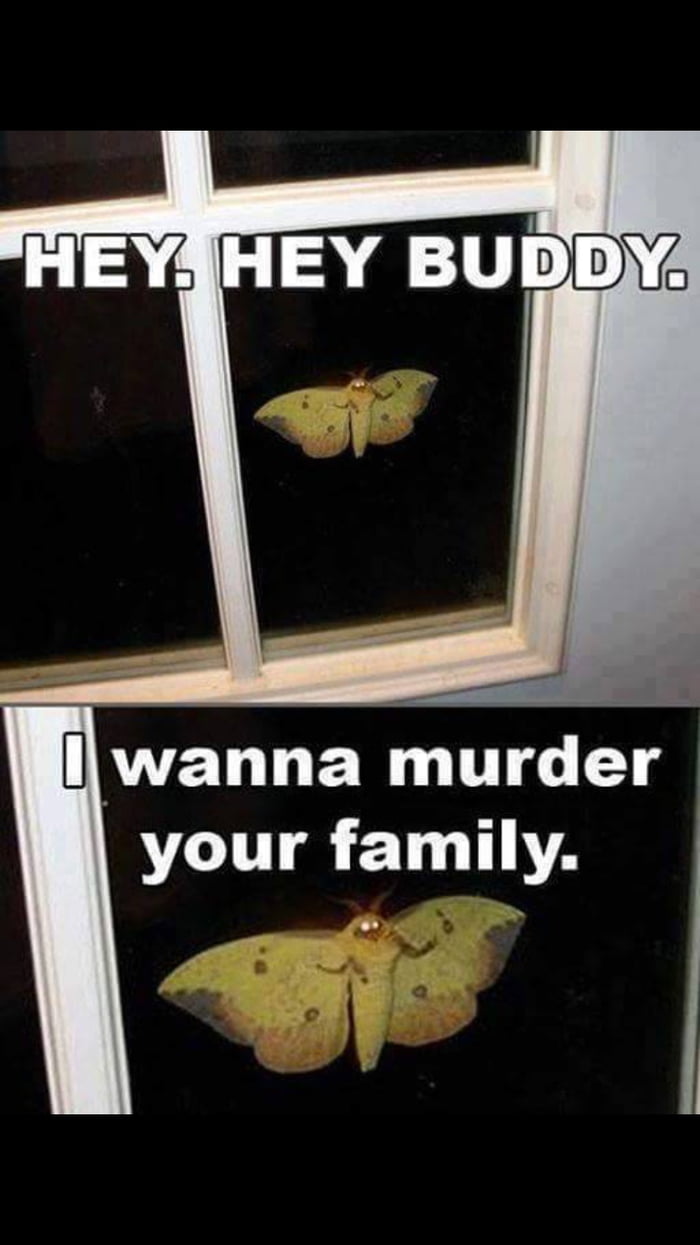 WELL ITS A NOPE FROM ME - 9GAG