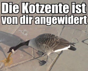 Best 30+ Vomit fun on 9GAG