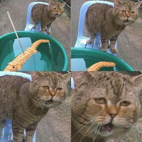 Please Punch Me in The Face - 9GAG