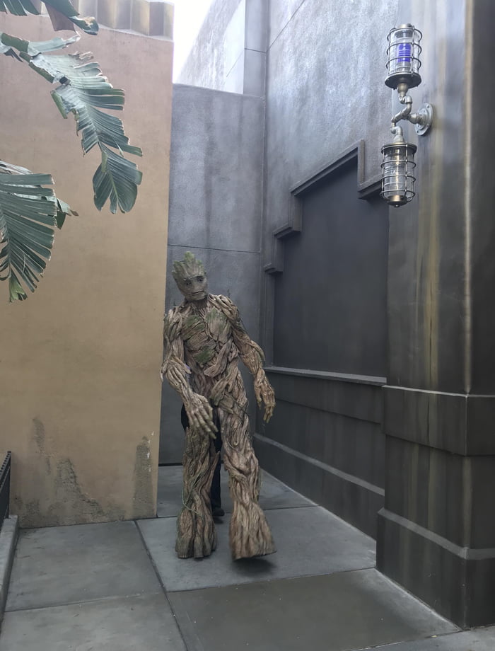 Just saw a super tall “tree” man. - 9GAG