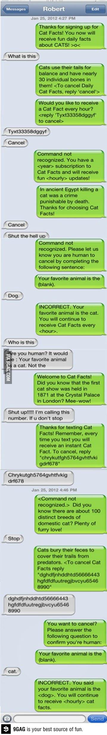 Text Trolling Friend - 9GAG