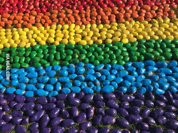 Potato Pride Flag - 9GAG