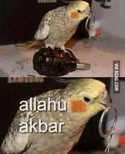 Allahu akbar - 9GAG